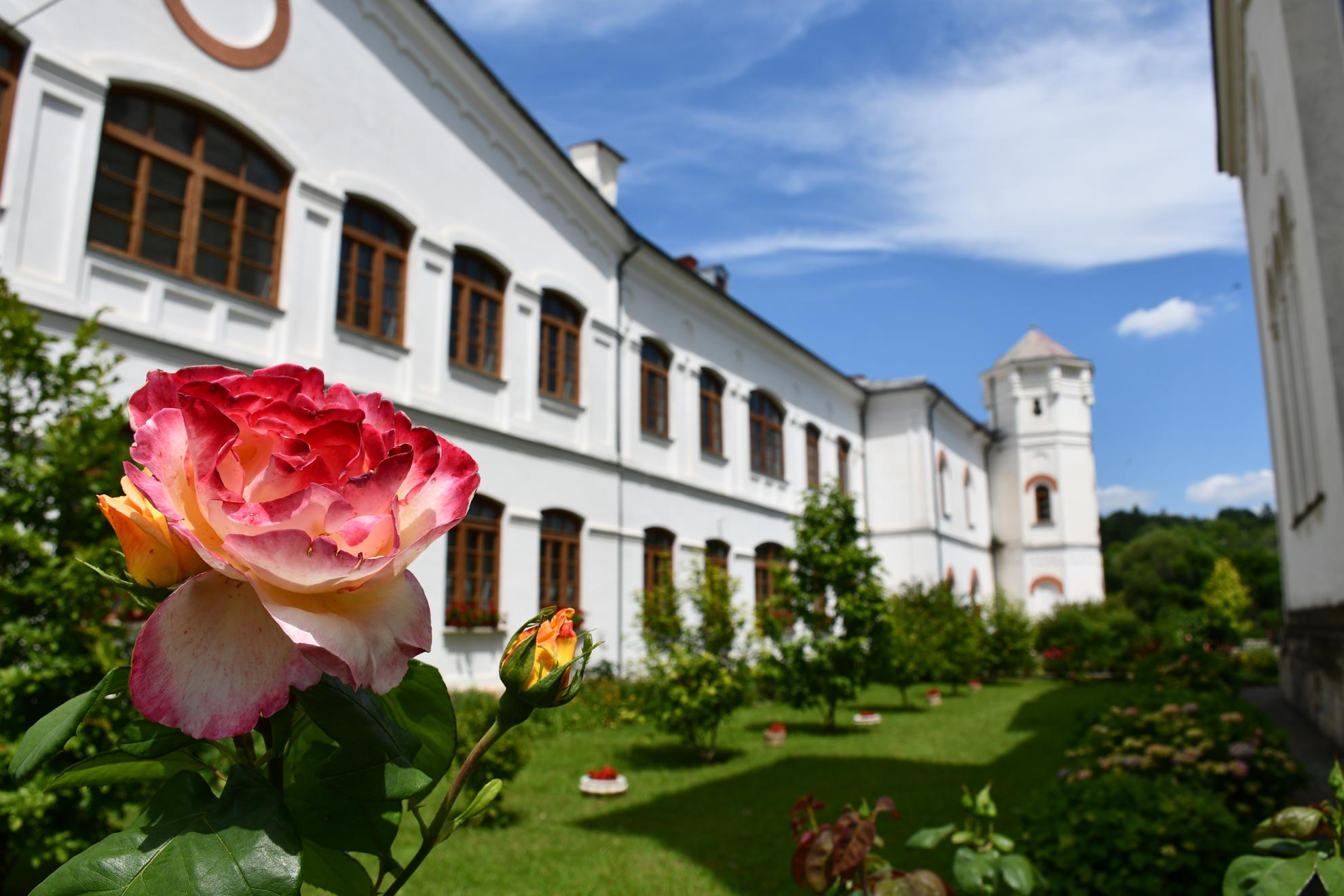 Home | Discover Vâlcea