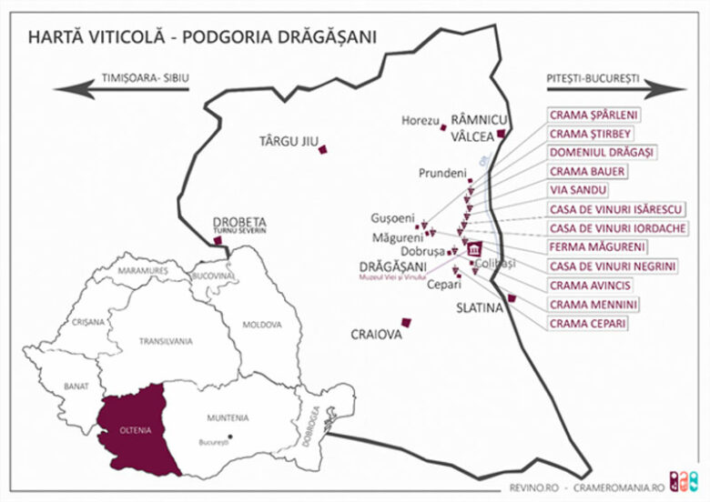 Ruta del Vino Valcea - Zona vinícola de Drăgășani | Discover Vâlcea