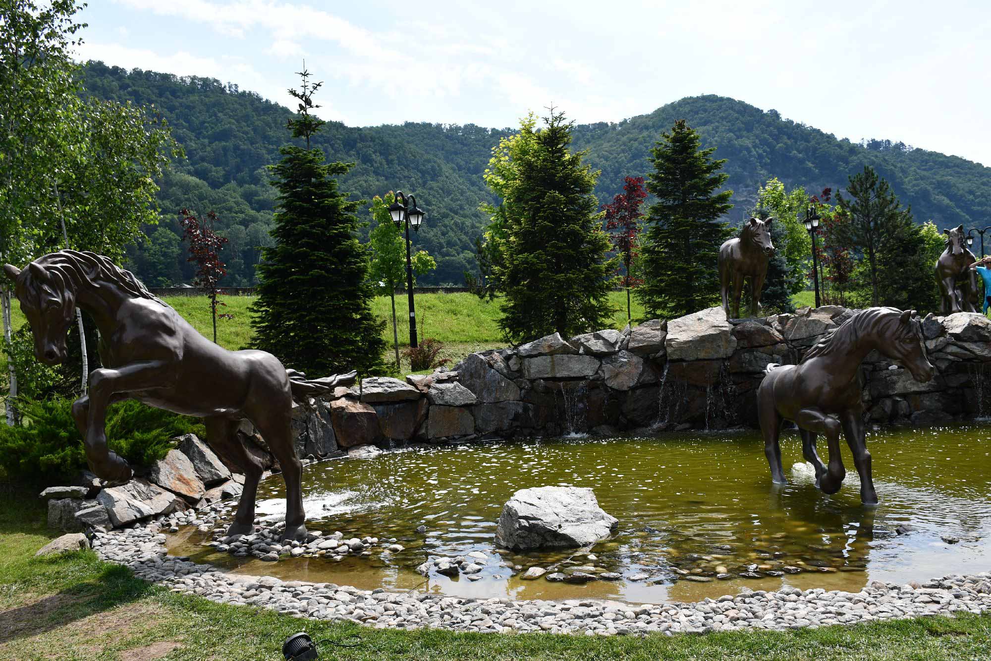 Home | Discover Vâlcea