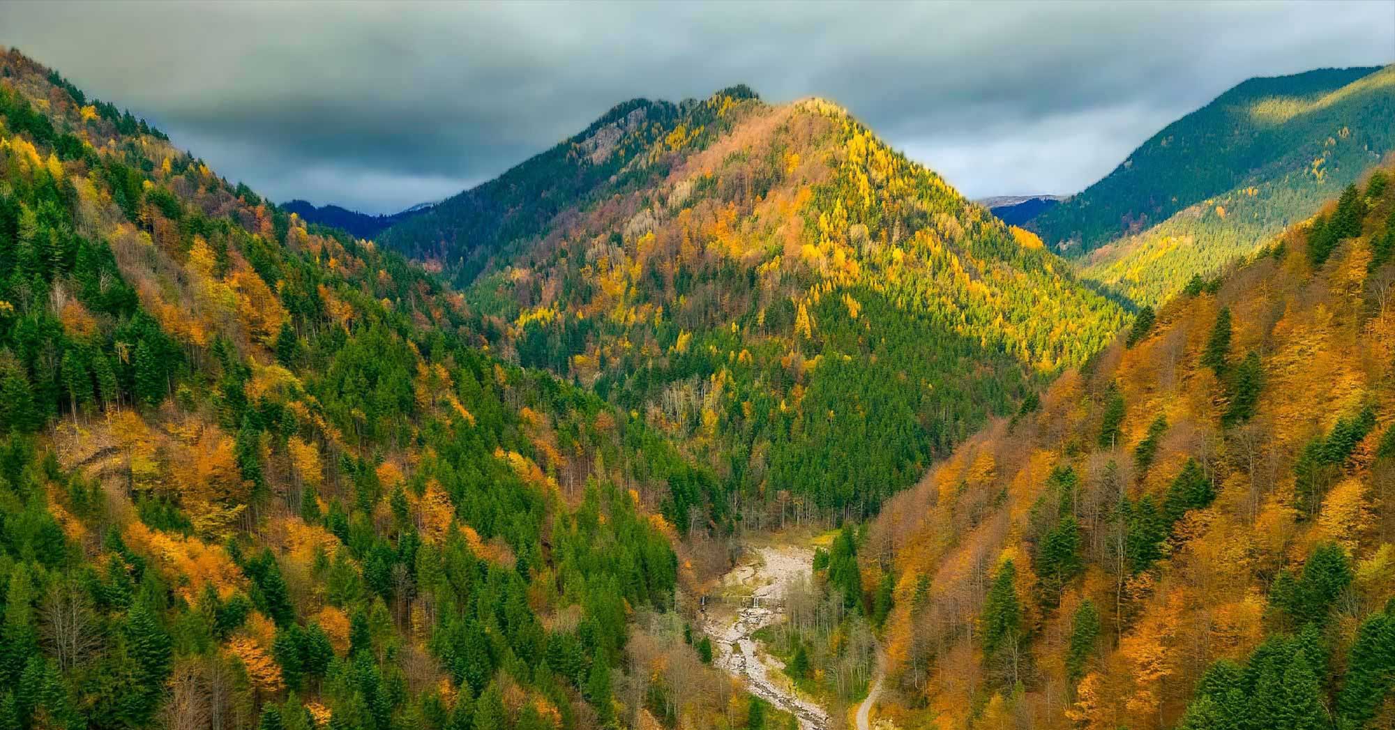 Home | Discover Vâlcea